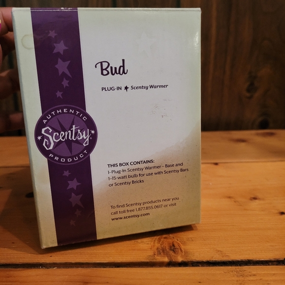 Scentsy | Wall Decor | Scentsy Bud Plug In Warmer | Poshmark